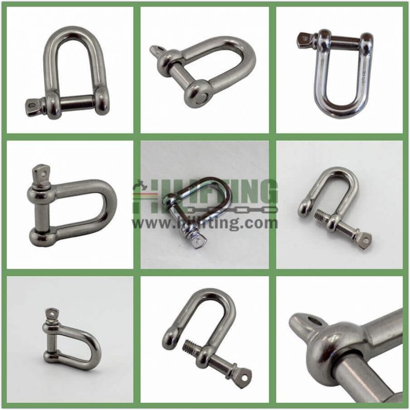 AISI 316 EU Stainless Steel D Shackle Factory - Hilifting