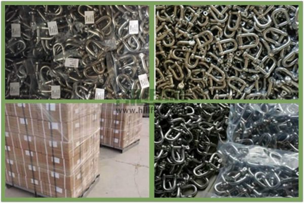 AISI 316 EU Stainless Steel D Shackle Factory - Hilifting