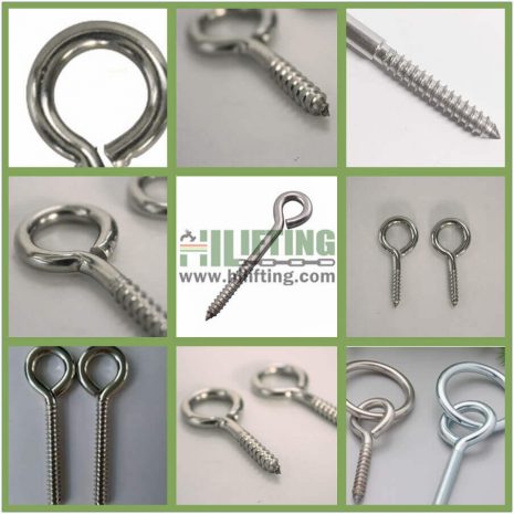 Stainless Steel Lag Eye Bolt Wood Screw Thread - Hilifting