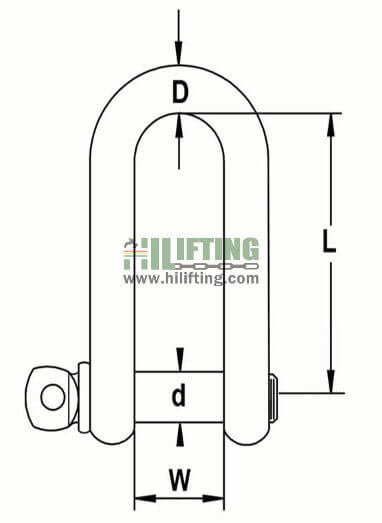 316 Stainless Steel Long D Shackle Supplier - Hilifting
